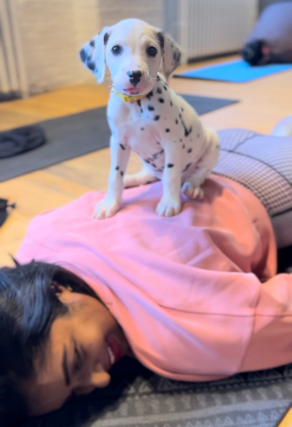 puppy-yoga-ottawa